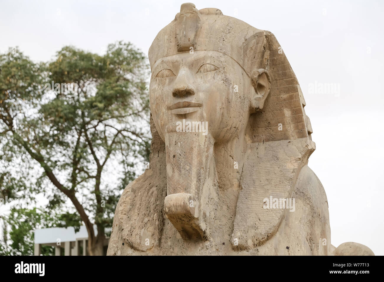 Sphinx in Ancient Capital Memphis, Cairo, Egypt Stock Photo - Alamy