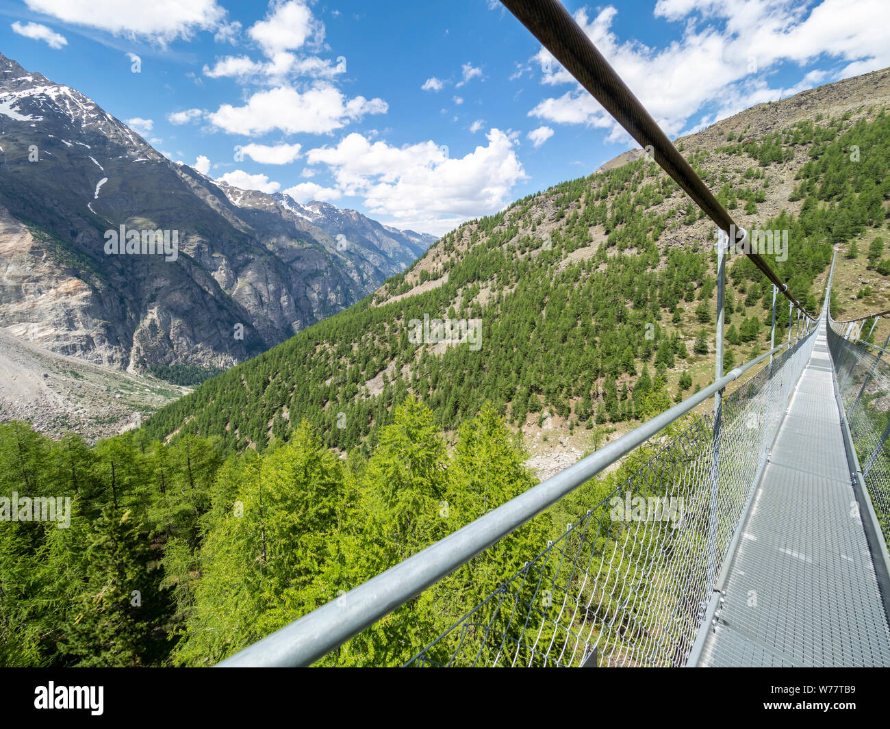 Charles Kuonen suspension bridge, the worlds longest suspension bridge ...