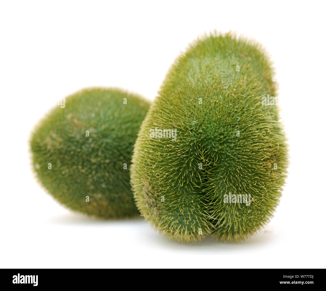 Chayote Squash On White Background Stock Photo - Alamy
