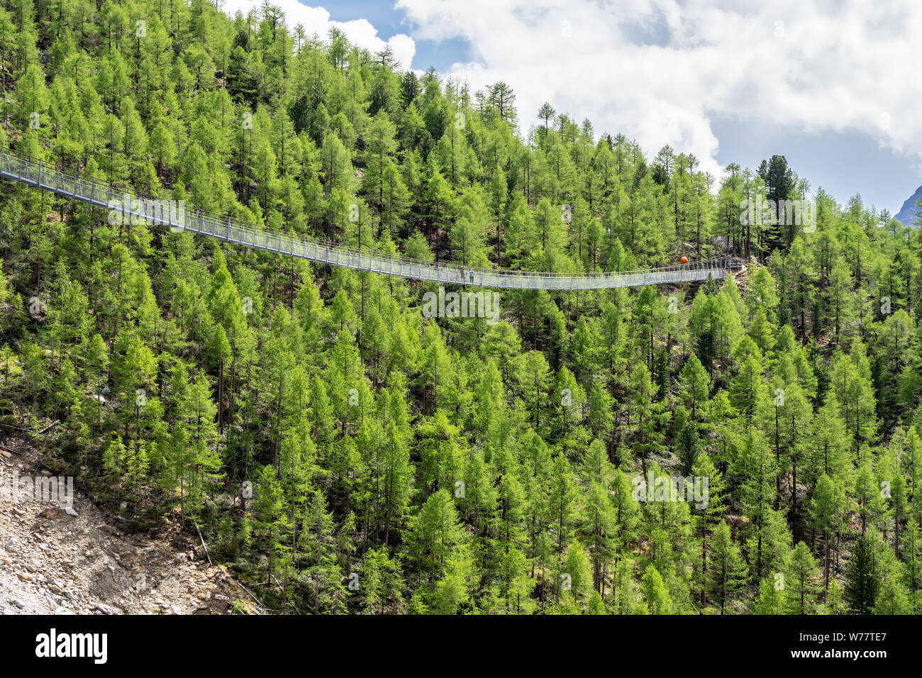 Charles Kuonen suspension bridge, the worlds longest suspension bridge ...