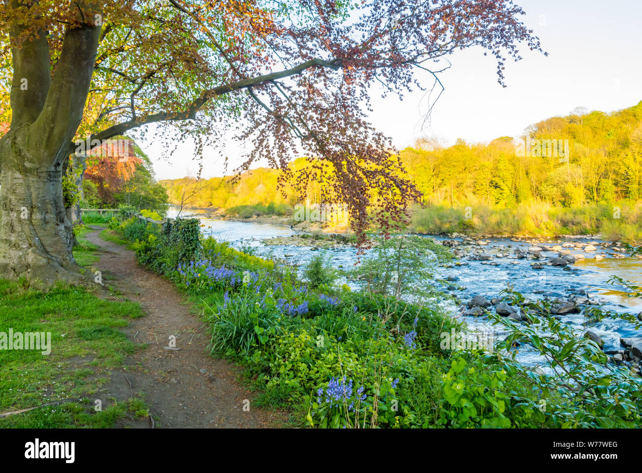 River Tyne Riverside Pathway High Resolution Stock Photography and ...
