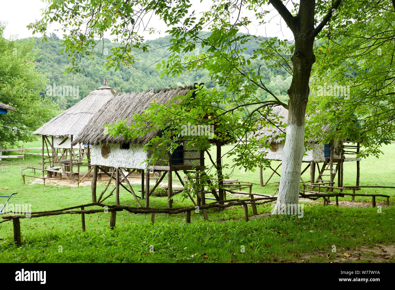 Wooden houses built on high stilts over the surface of the soil Stock ...