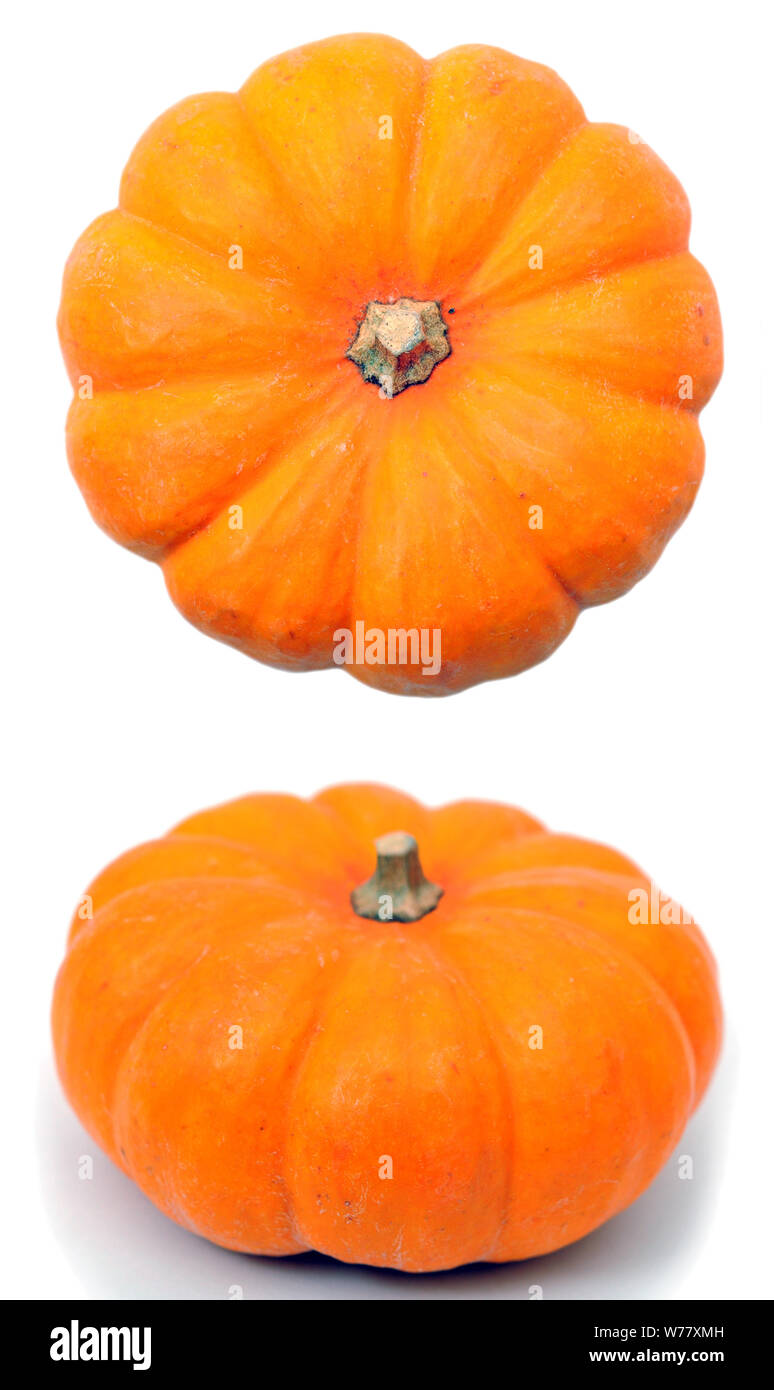 two views of mini pumpkin Stock Photo - Alamy