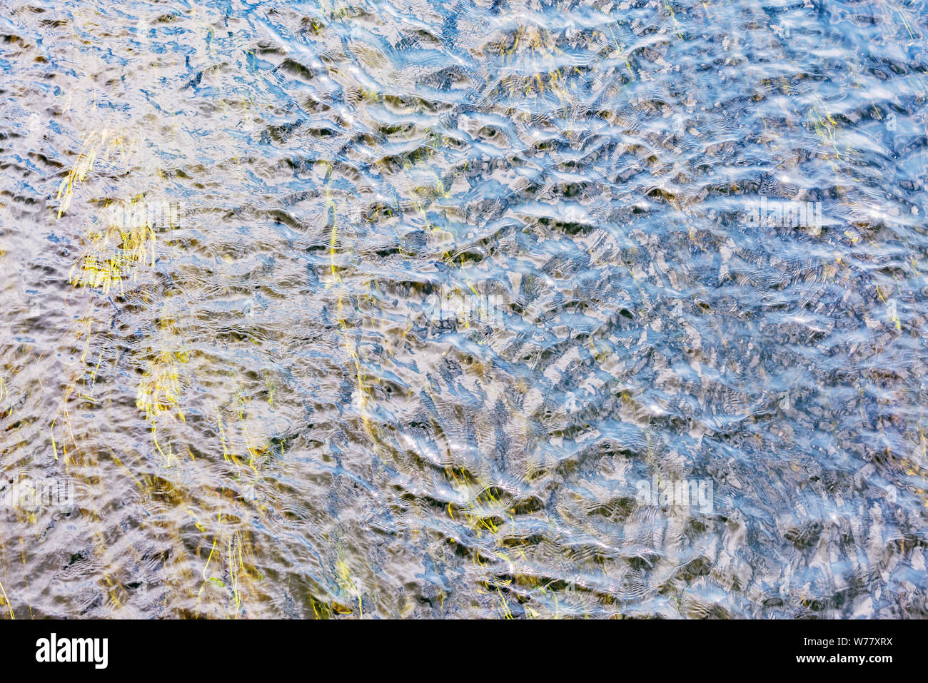 Surface of the river with the crystal water Stock Photo - Alamy