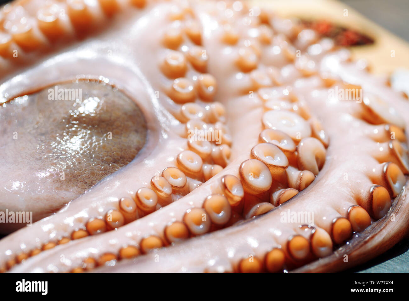 Octopus. Seafood in the restaurant. Octopus is prepared in the ...