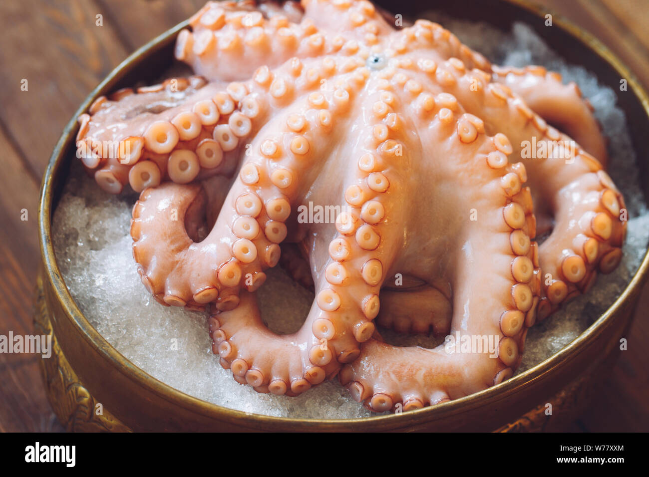 Octopus. Seafood in the restaurant. Octopus is prepared in the ...