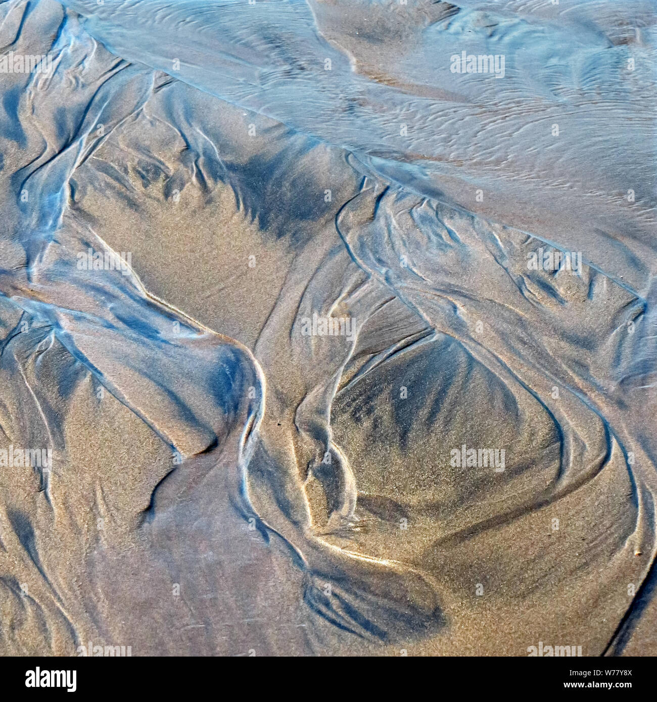 Abstract detailed tidal patterns in the sand at low tide on Penbryn ...