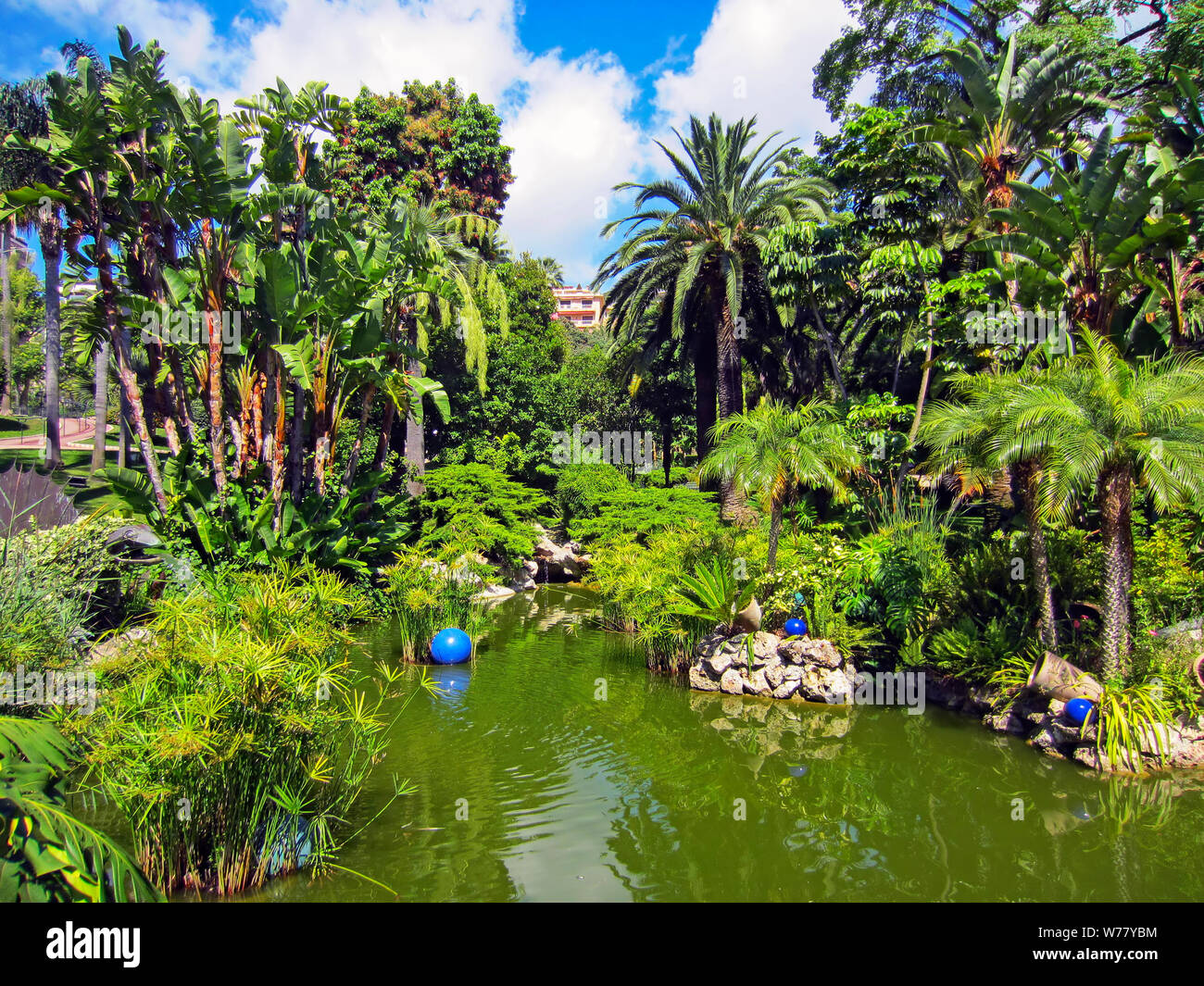 Palm trees in monte carlo hi-res stock photography and images - Alamy