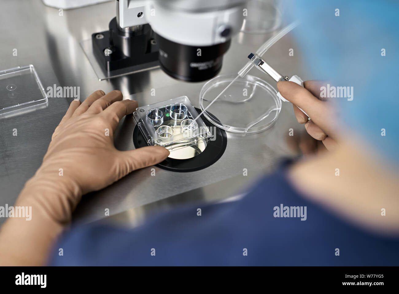 Doctor in brown latex gloves does control check of the in vitro ...