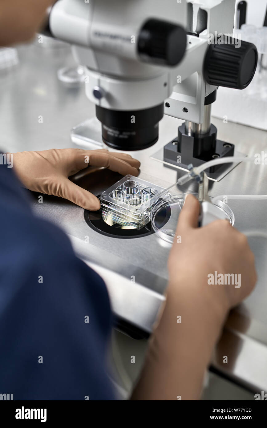 Fertility clinic procedure close up hi-res stock photography and images ...