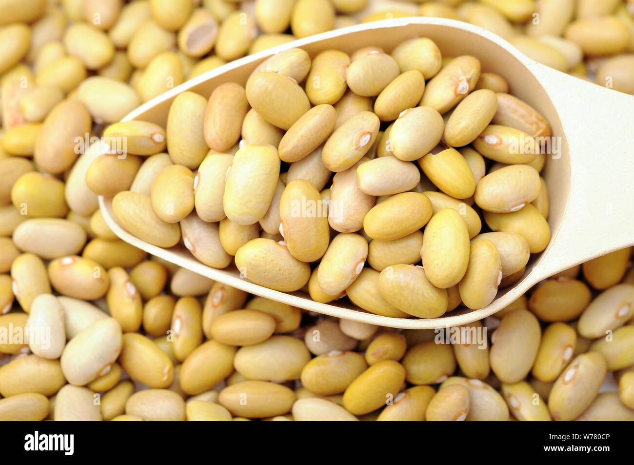 perruano bean on plastic scoop Stock Photo - Alamy