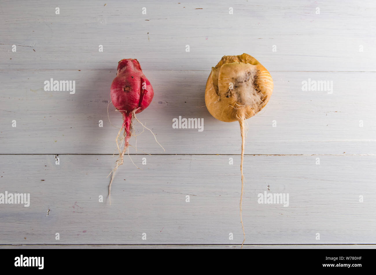 ugly radish food on a white background Stock Photo - Alamy