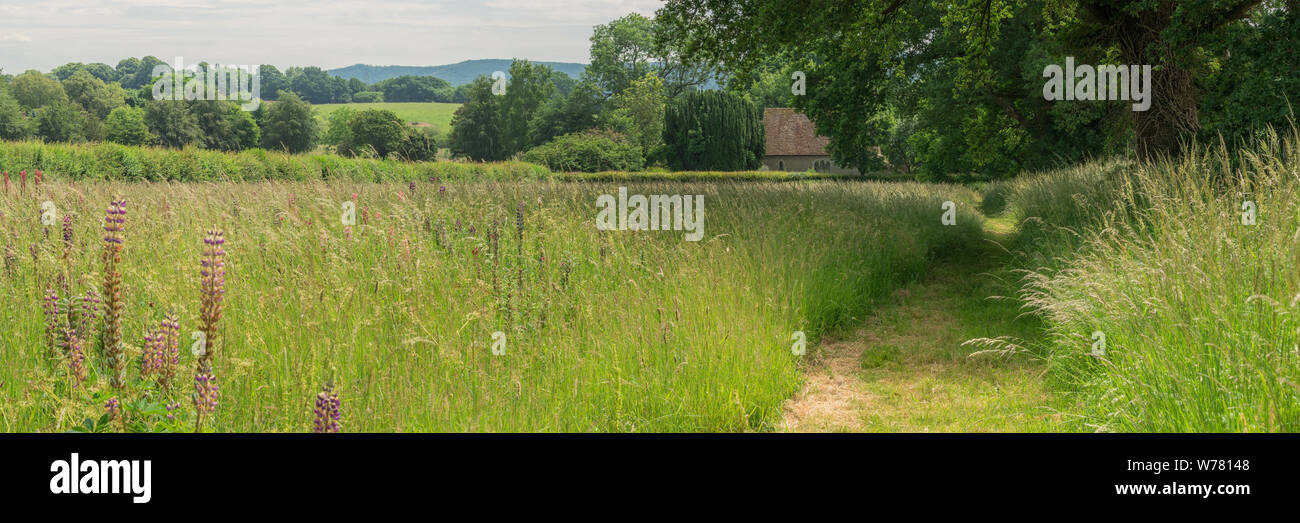 Terwick church hi-res stock photography and images - Alamy