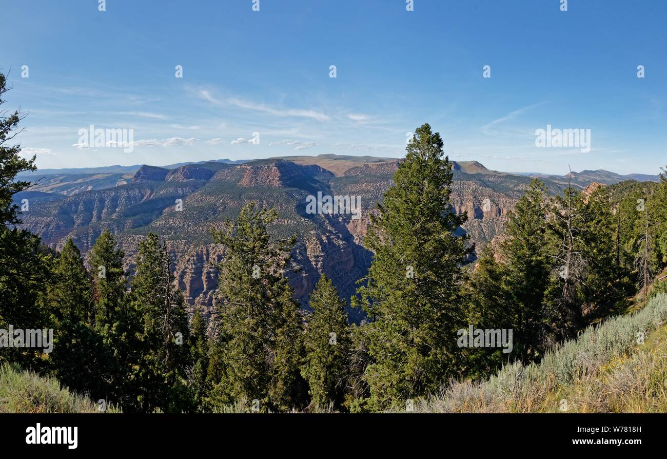 landscape in the canyon area of the Dinosaur National Monument in ...