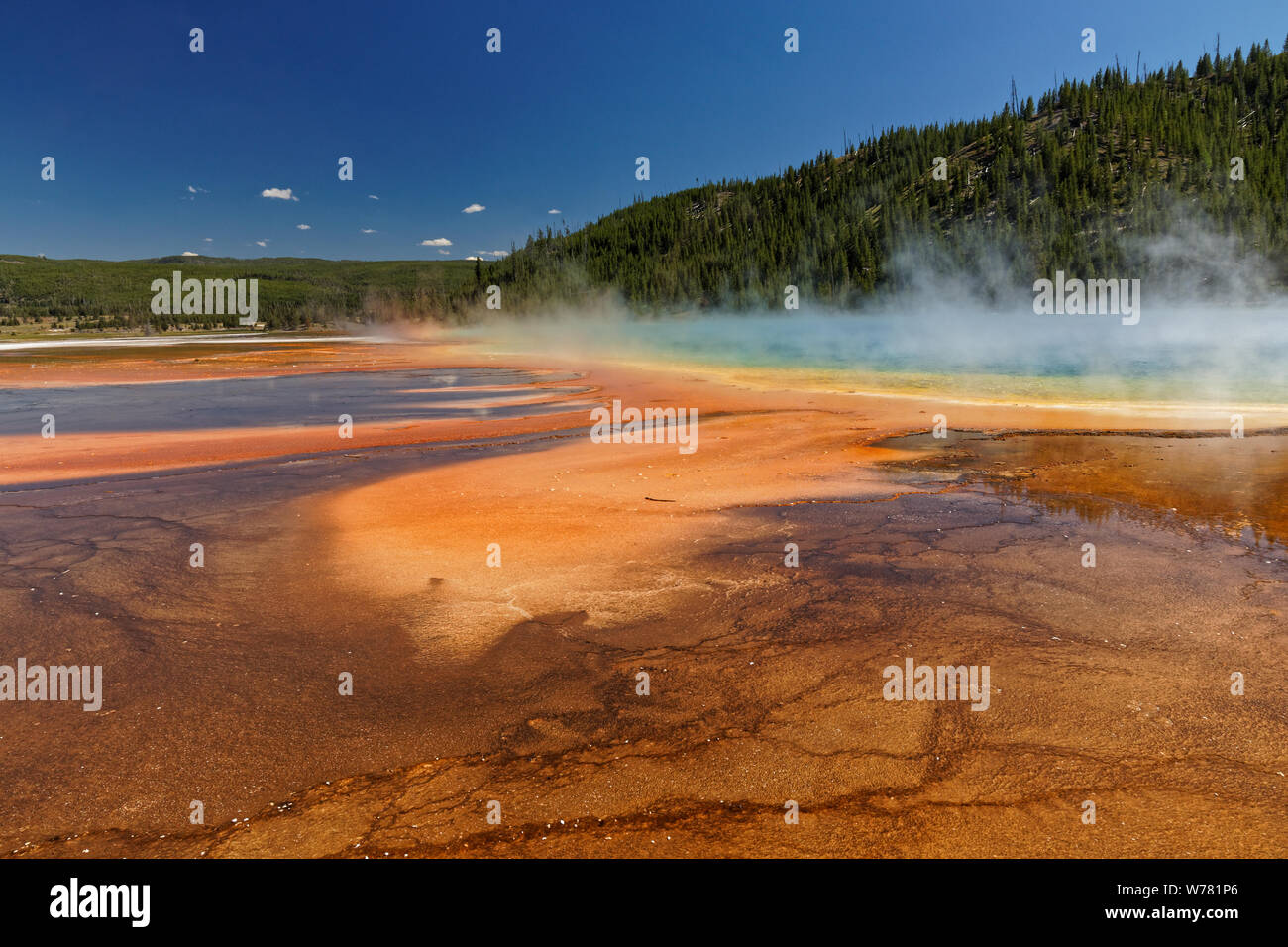grand prismatic spring pool in the Yellowstone National Park Stock ...