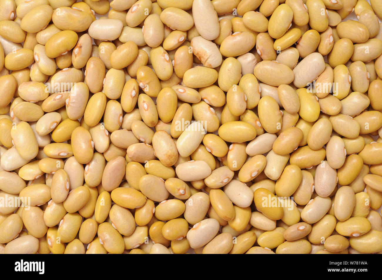 perruano bean for background uses Stock Photo - Alamy