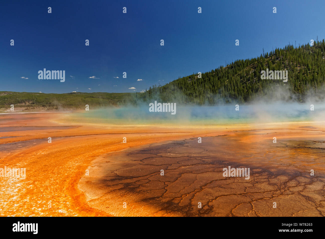 grand prismatic spring pool in the Yellowstone National Park Stock ...