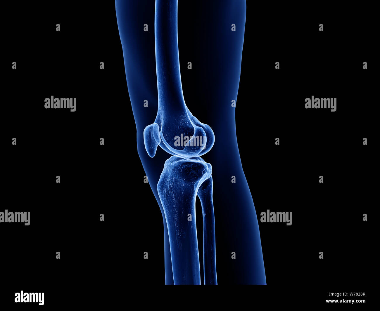 Healthy knee hi-res stock photography and images - Alamy