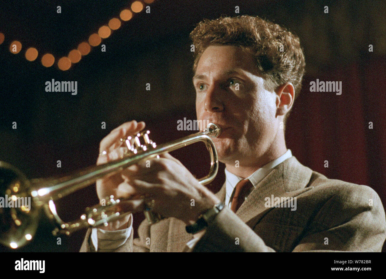 Michael Bird High Resolution Stock Photography and Images - Alamy