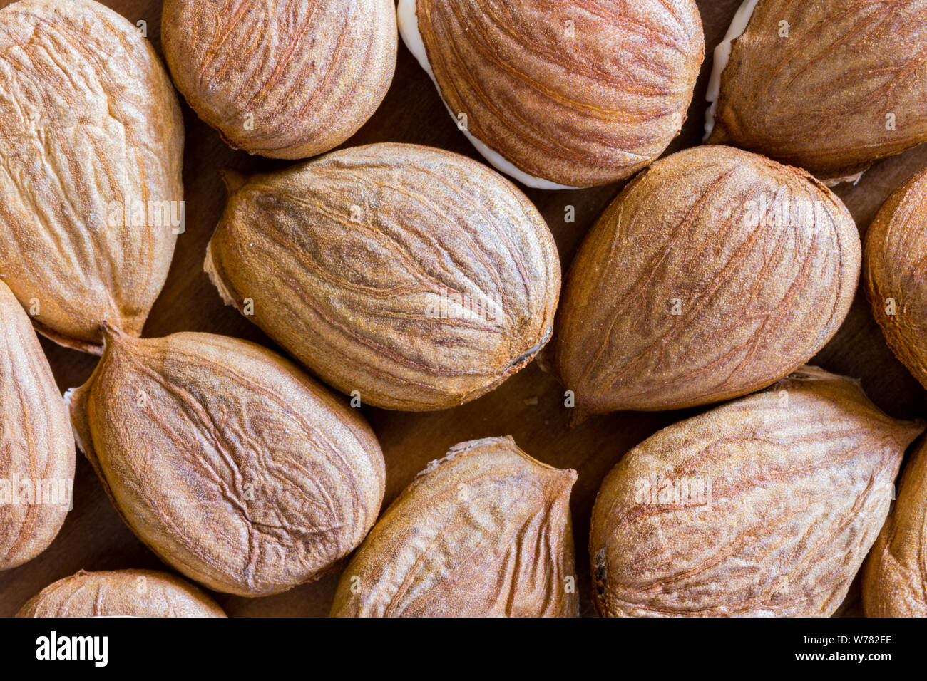 Apricot kernels macro Stock Photo - Alamy