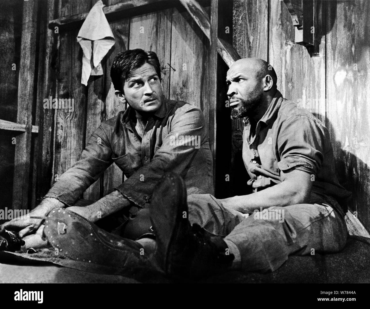 Robert Knapp High Resolution Stock Photography and Images - Alamy