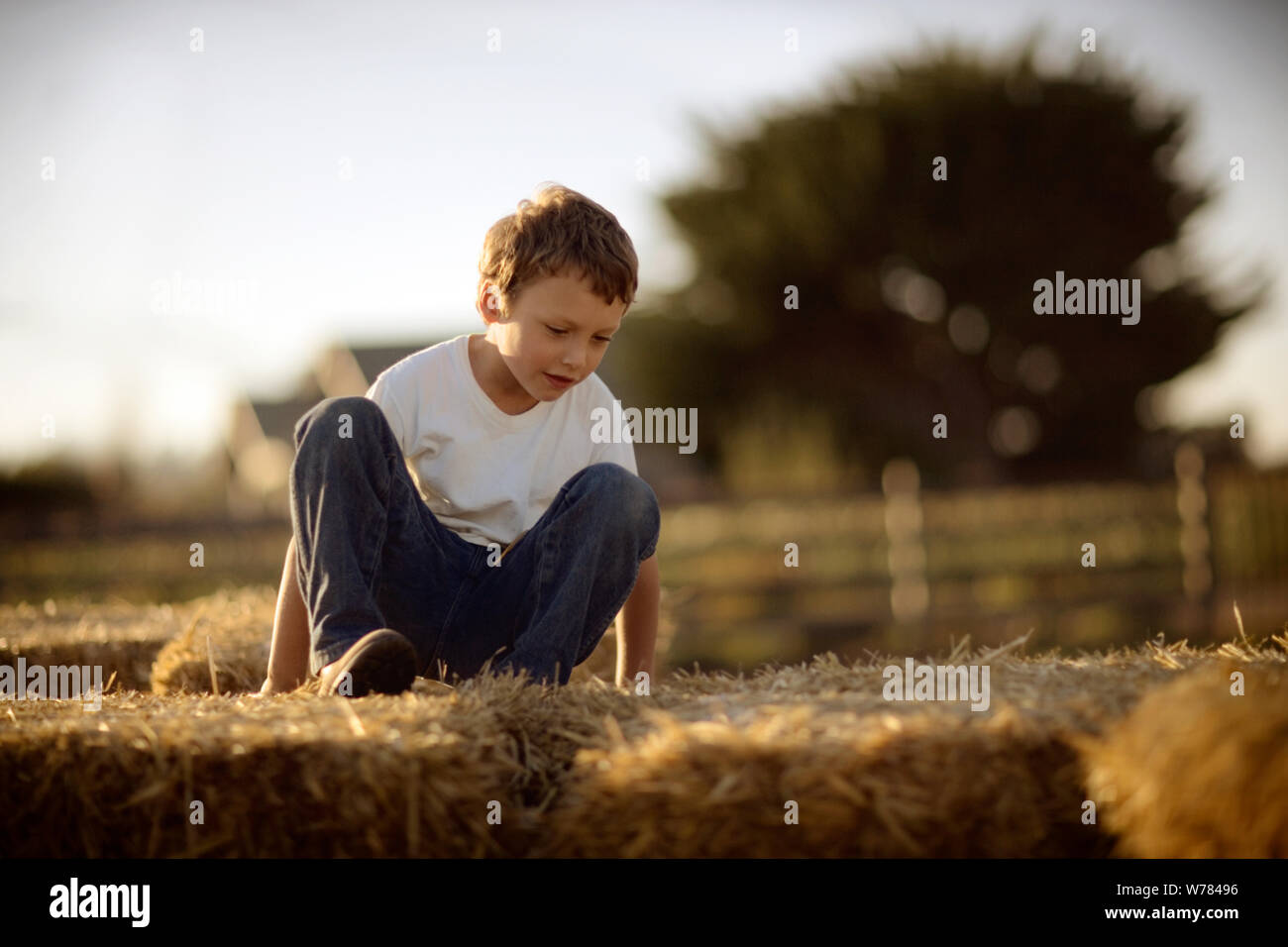 child on bales of hay Stock Photo - Alamy