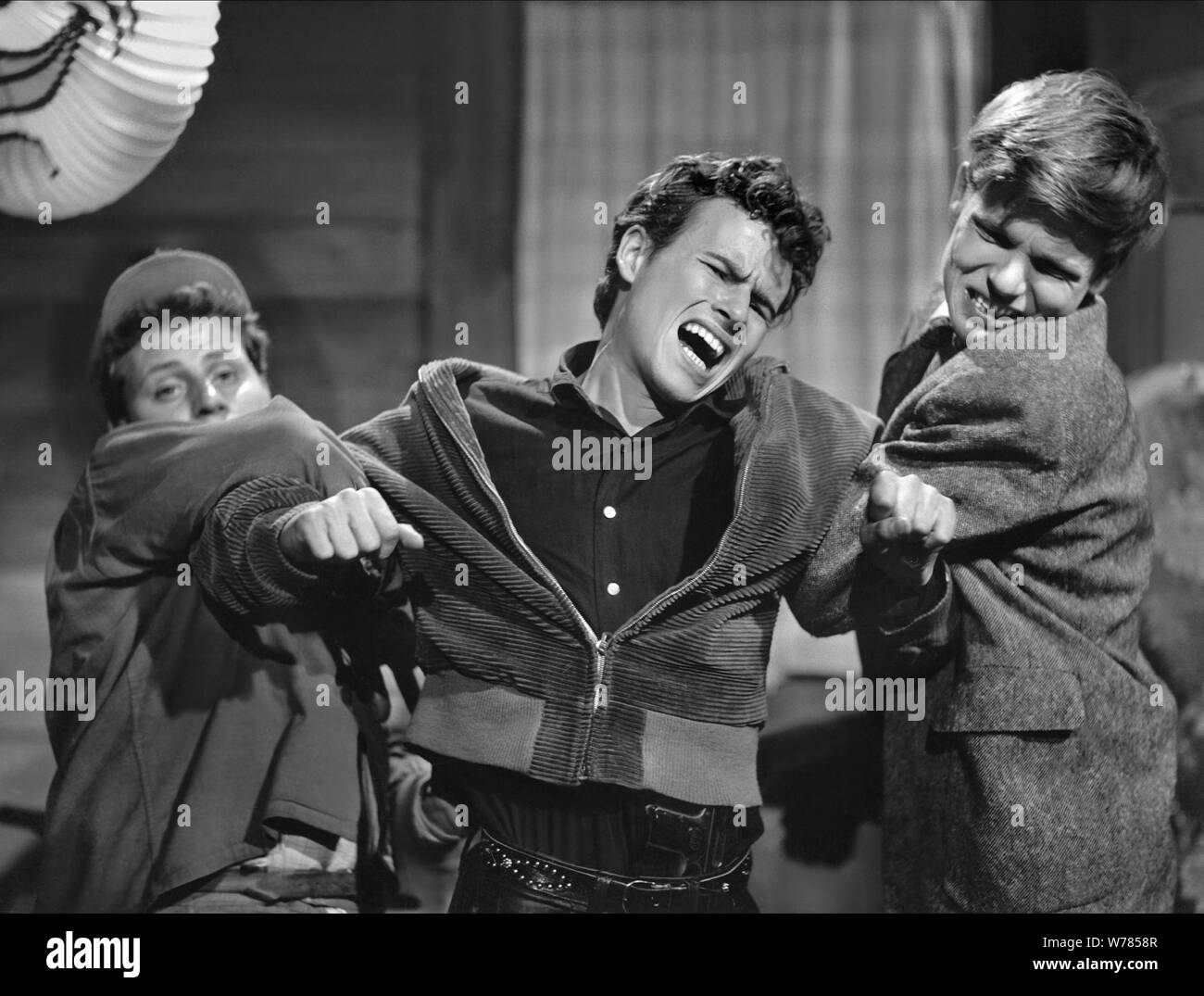 Teenage Wolfpack High Resolution Stock Photography and Images - Alamy