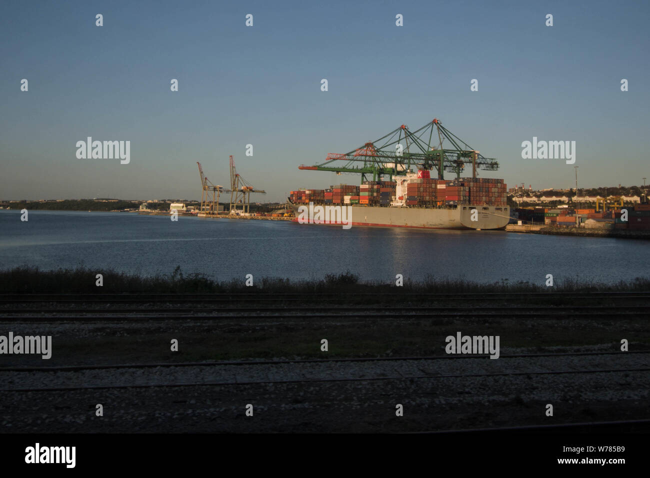 Pet cranes hi-res stock photography and images - Alamy