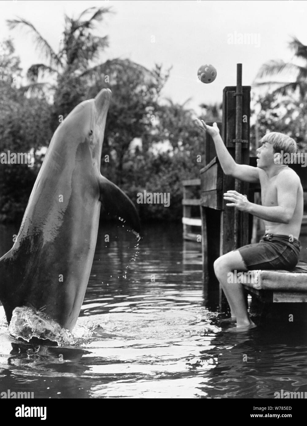 Luke Halpin Black and White Stock Photos & Images - Alamy