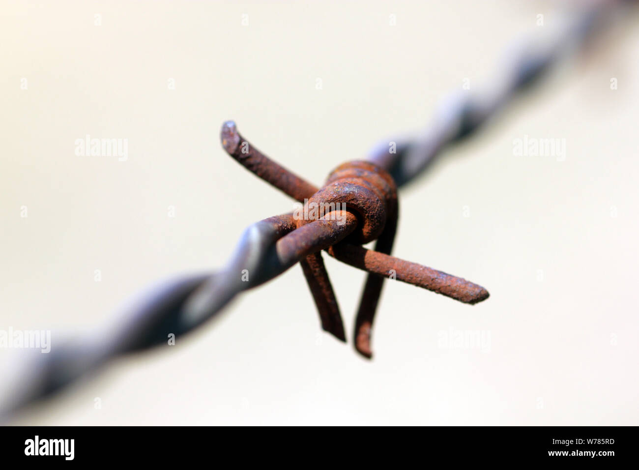 Spike spikes spiky spiked hi-res stock photography and images - Alamy