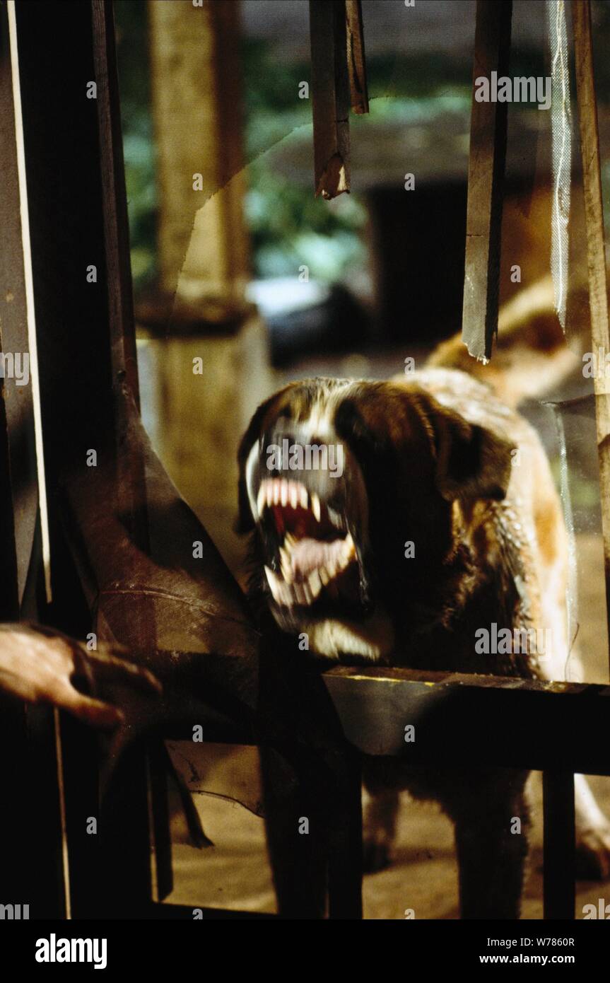 Cujo Movie High Resolution Stock Photography and Images - Alamy