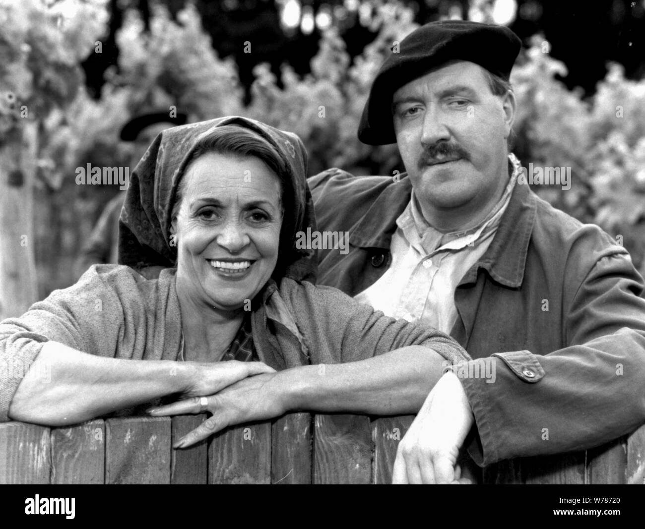 Allo Allo High Resolution Stock Photography and Images - Alamy