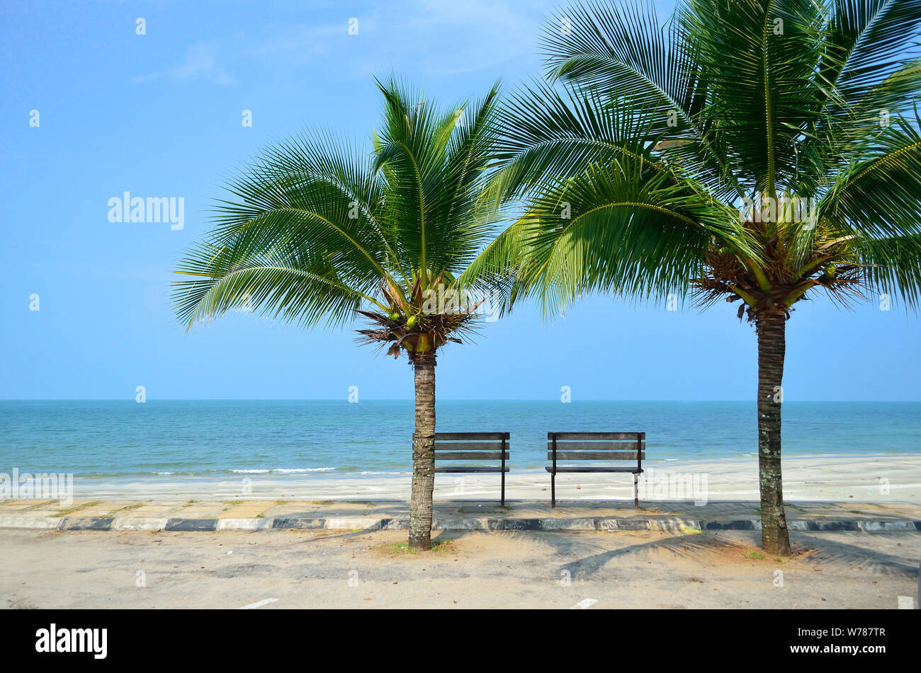 Green coconut tree hi-res stock photography and images - Alamy