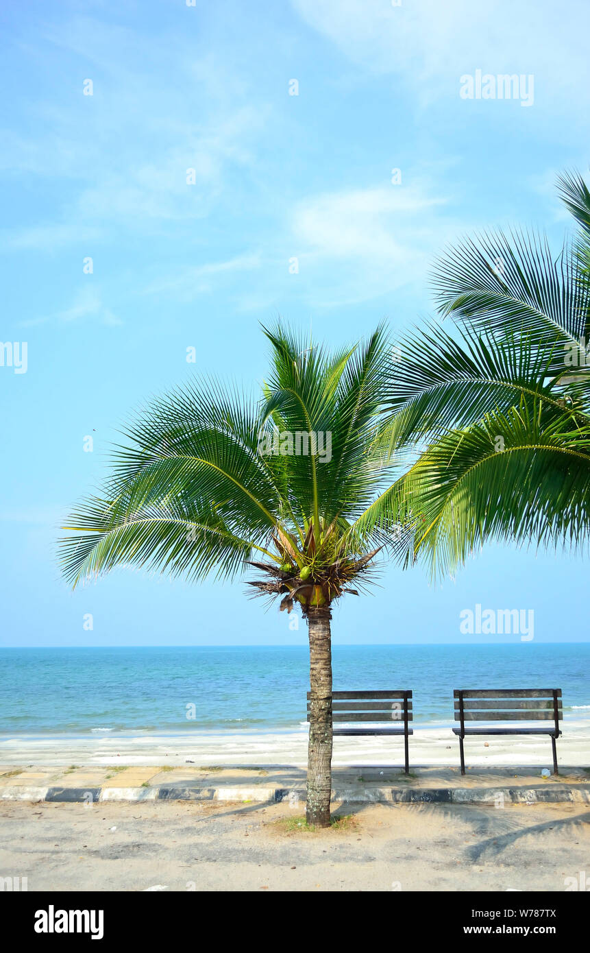 Bench near beach hi-res stock photography and images - Alamy
