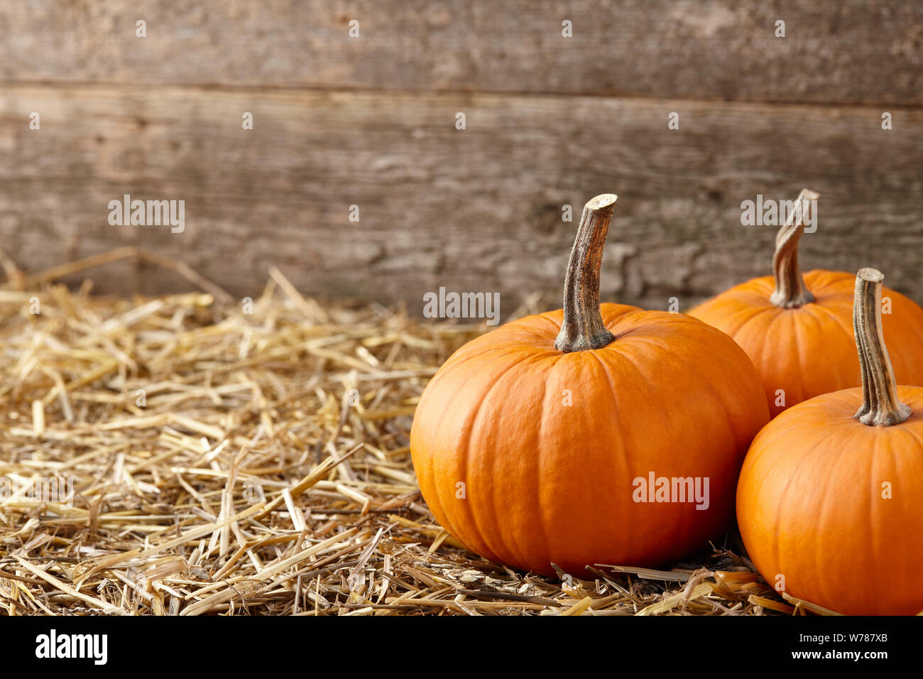 Hay and straw hi-res stock photography and images - Alamy