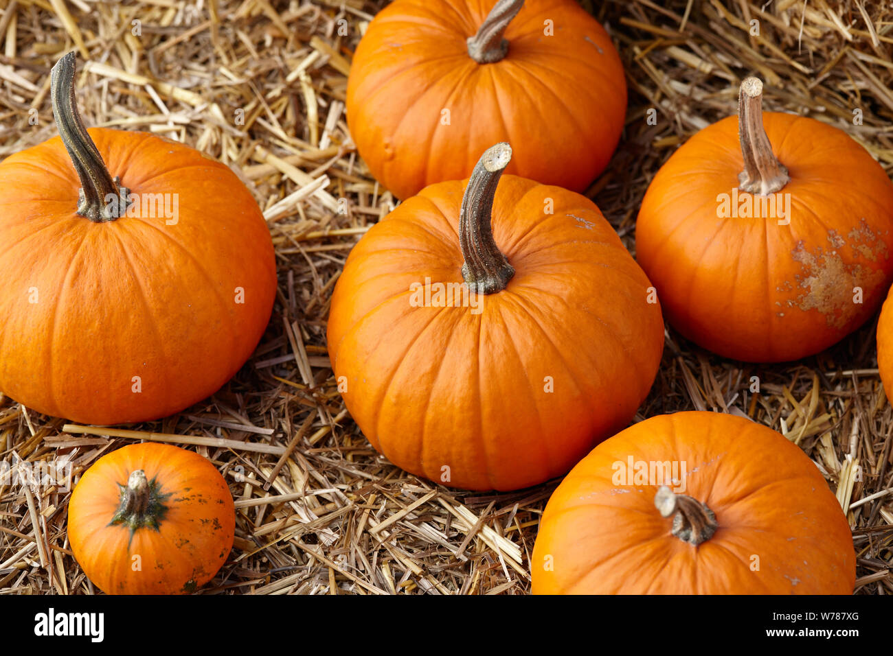 Straw stack hi-res stock photography and images - Alamy