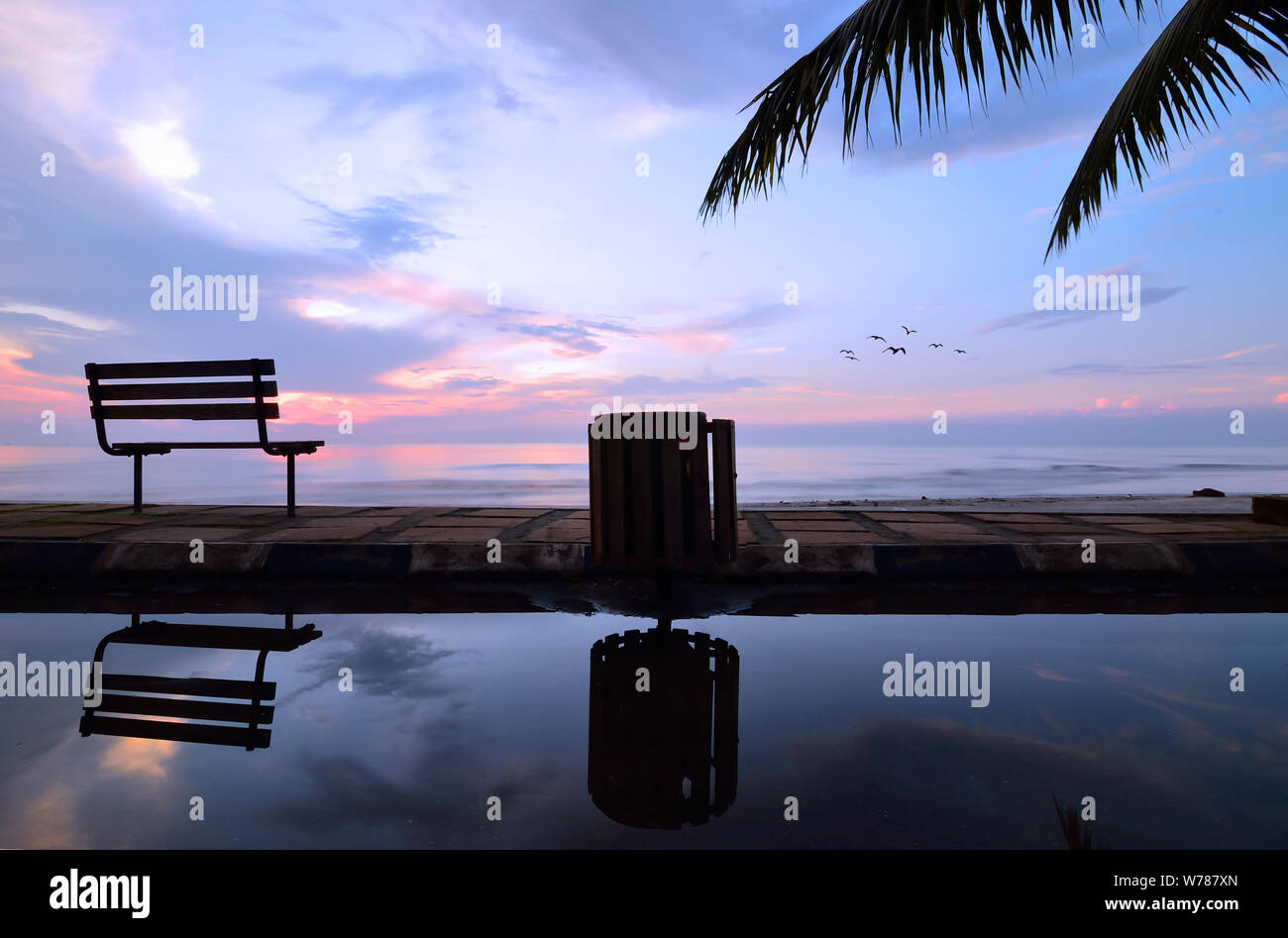 Bench near the beach waiting for sun rising up Stock Photo - Alamy