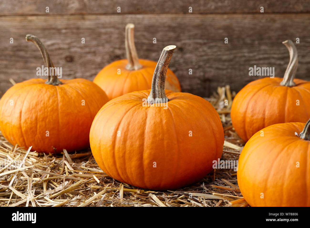 Hay and straw hi-res stock photography and images - Alamy