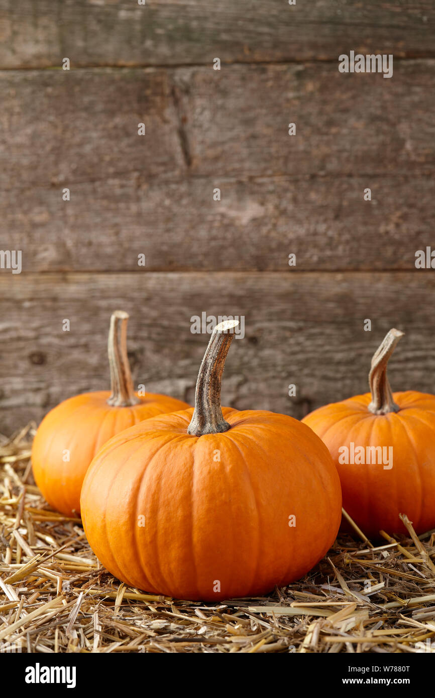 Straw stack hi-res stock photography and images - Alamy