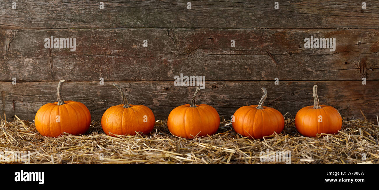 Row of straw hi-res stock photography and images - Alamy