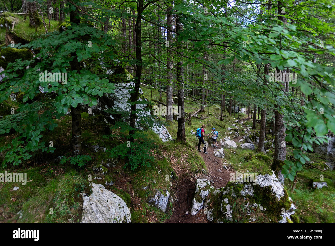 Mother and son (9-10) hiking in forest on Soca trail in Soca valley ...