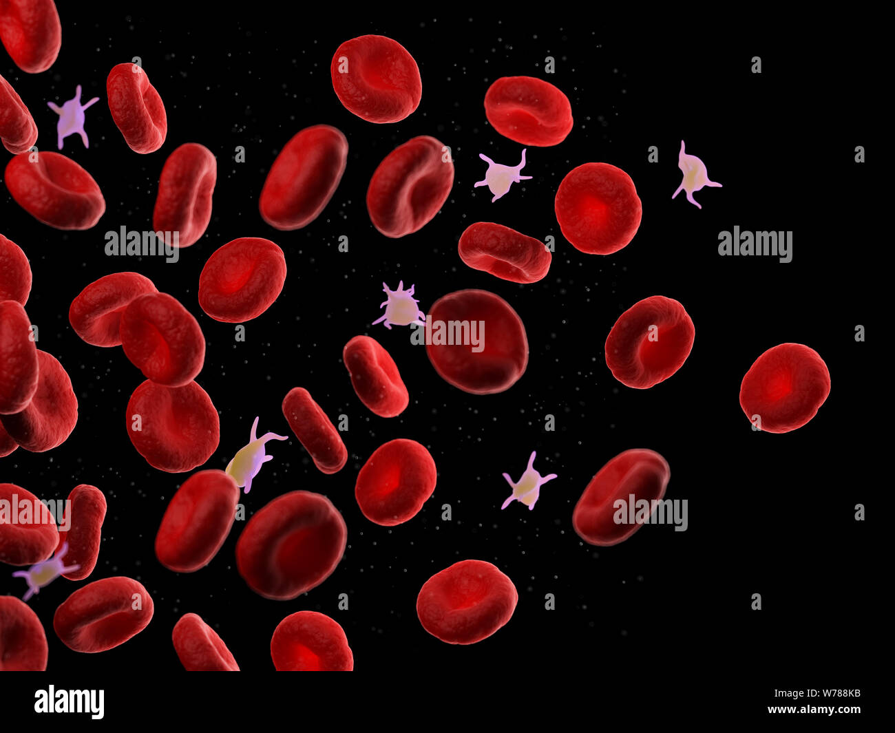 3d rendered medically accurate illustration of human blood cells and ...