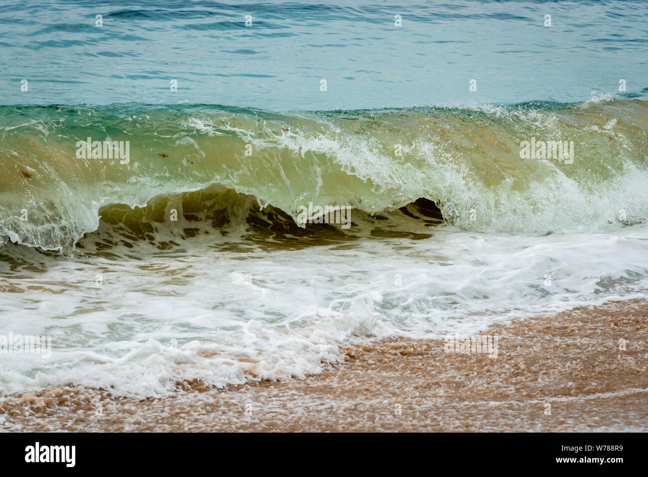 Ocean wave at the East beach Stock Photo - Alamy