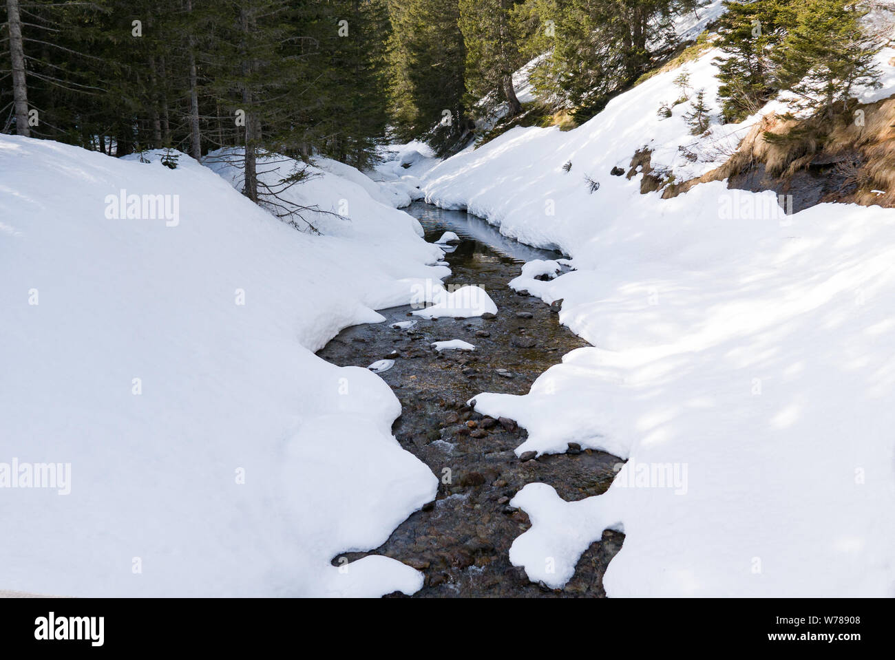 Mountain stream makes its way through melting snow, italy Stock Photo ...