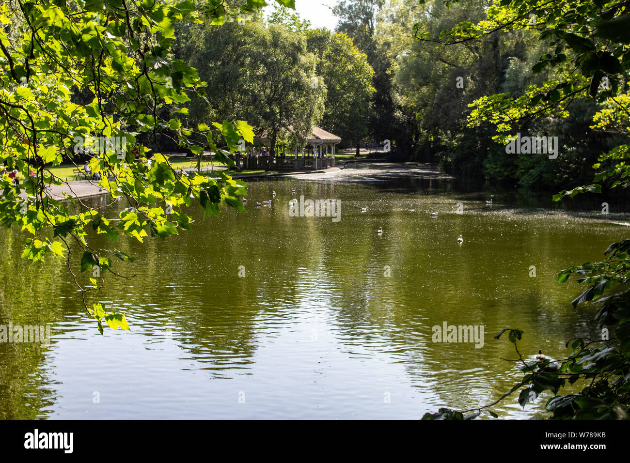 The duck pond in St Stephens Green Park in Dublin, Ireland Stock Photo ...