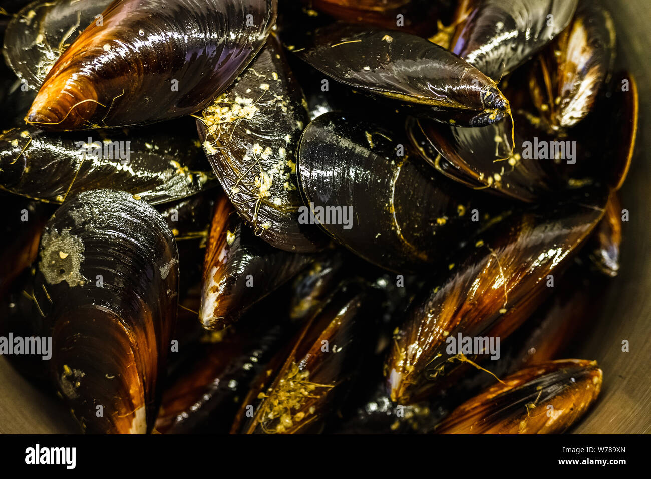 Wet mussels hi-res stock photography and images - Alamy