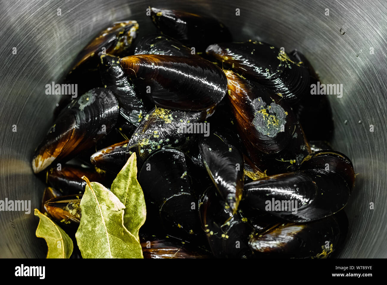 Mussels inside a pot ready to be boiled Stock Photo - Alamy