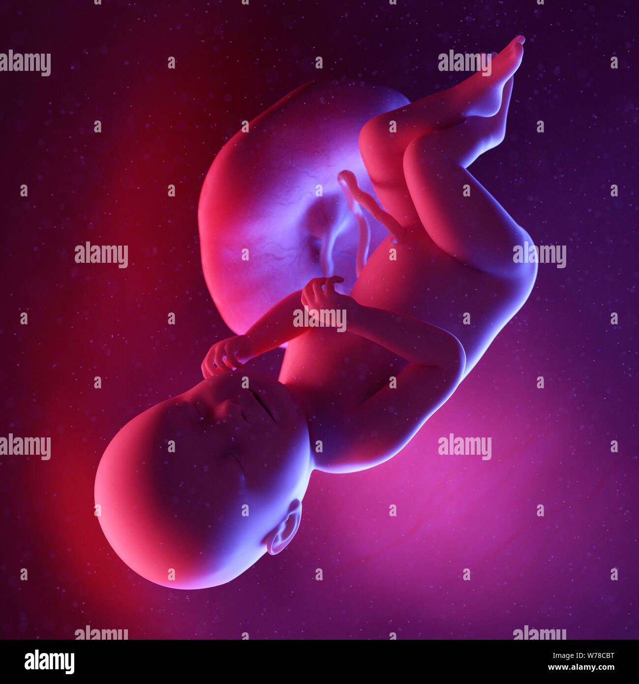 Pregnant illustration week 38 hi-res stock photography and images - Alamy
