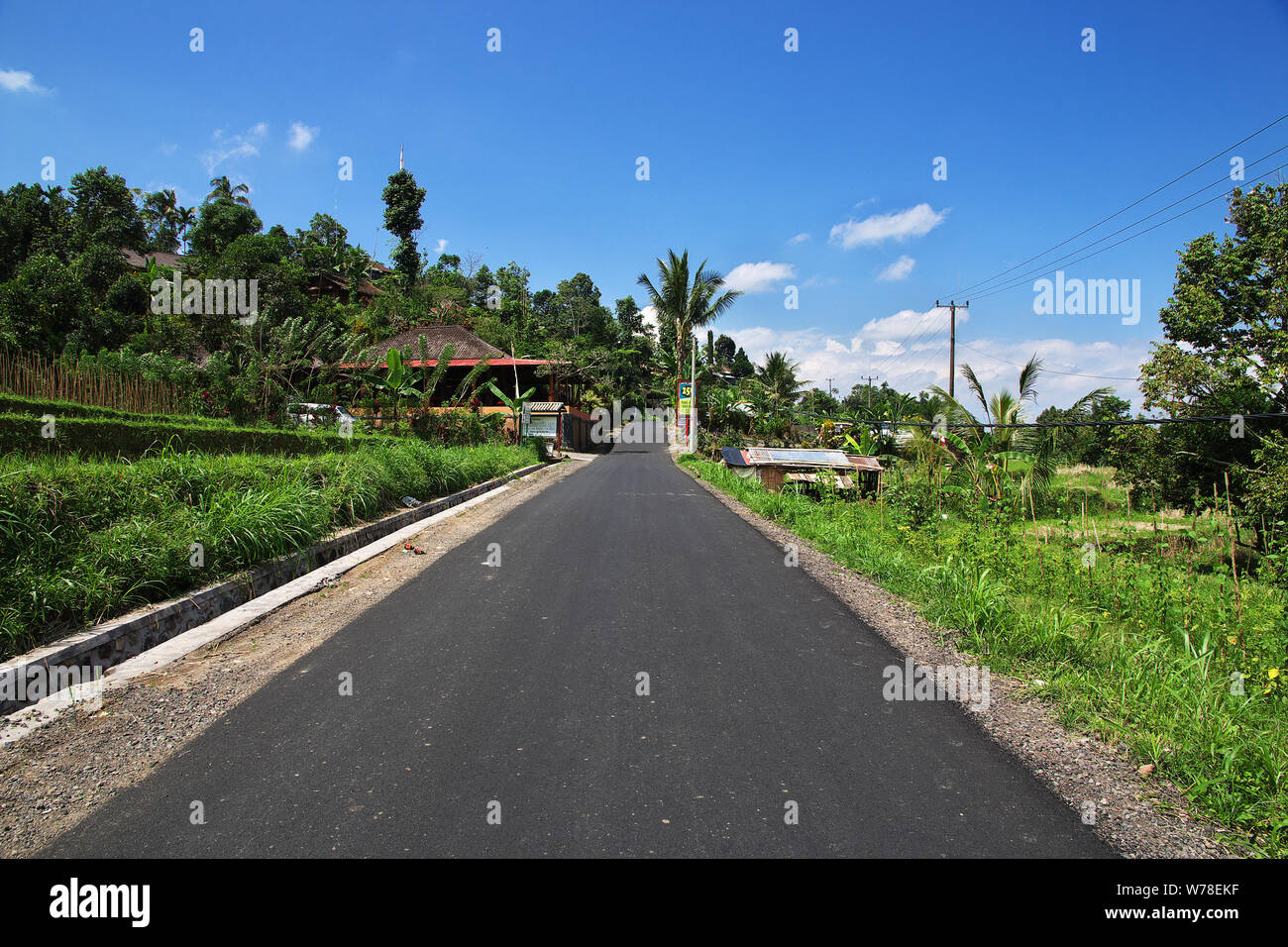 The road on mountains of Bali, Indonesia Stock Photo - Alamy