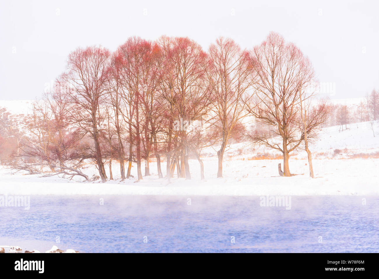 30 degree hi-res stock photography and images - Alamy